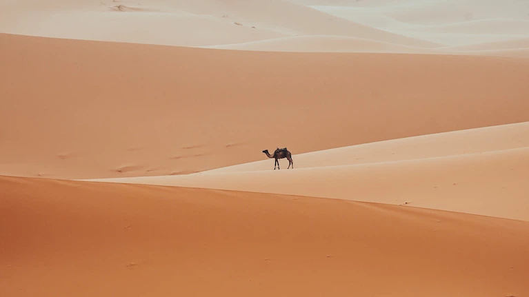Is It Safe To Go To The Desert? | 3 Safety Tips & Guide